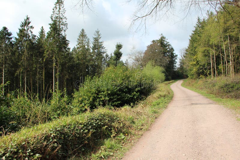 437 East Cork Stock Photos - Free & Royalty-Free Stock Photos from ...