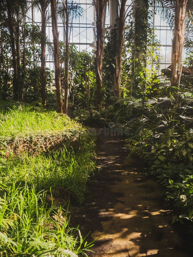 Empty Path Inside the Balinese Garden in Hellersdorf Stock Image ...
