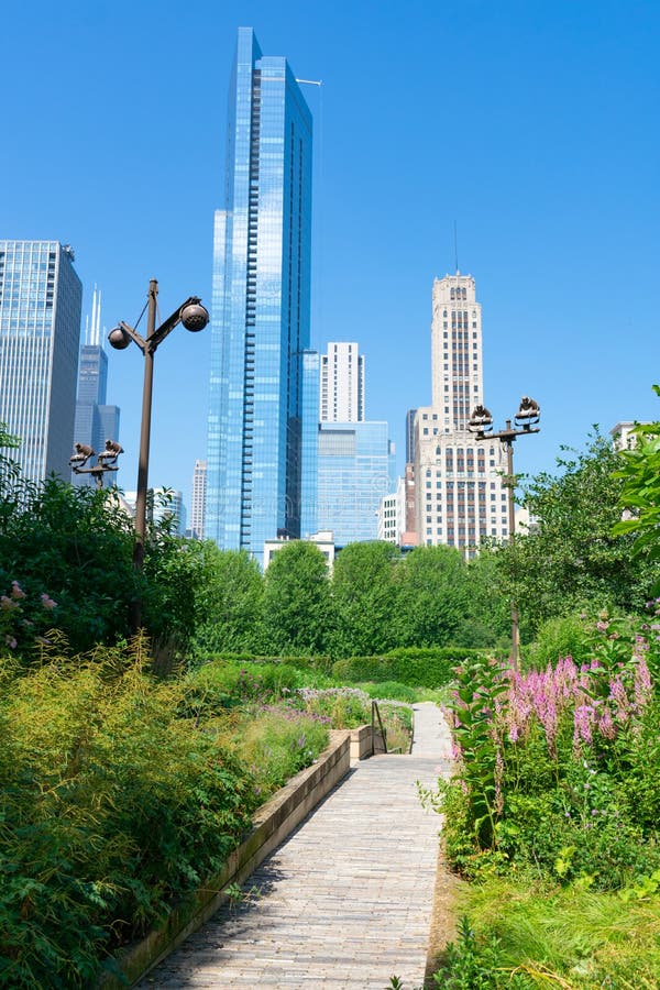 Path with Native Plants at a Downtown Chicago Park with Buildings ...