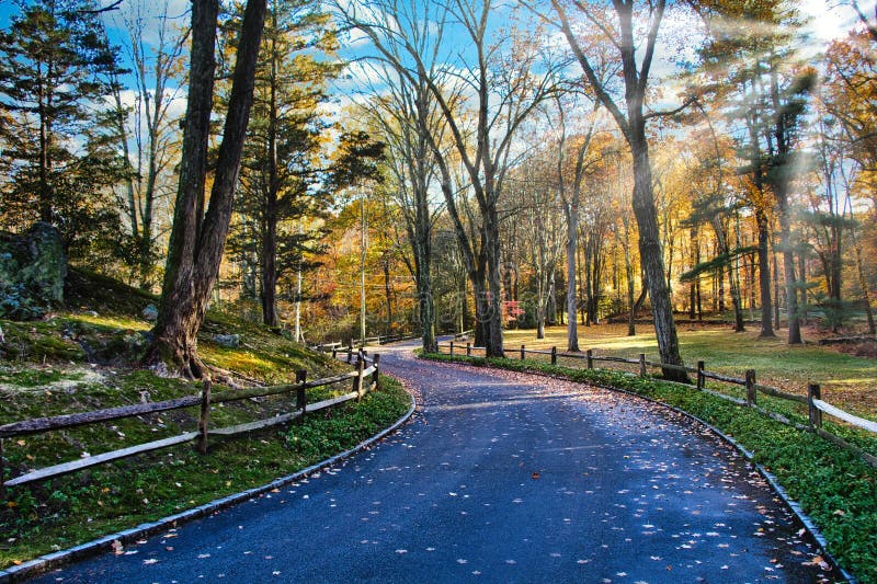 An Empty Path in the Middle of a Park Stock Photo - Image of parkland ...