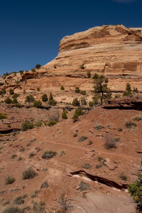 Spring Trail stock photo. Image of recreation, nature - 143967034