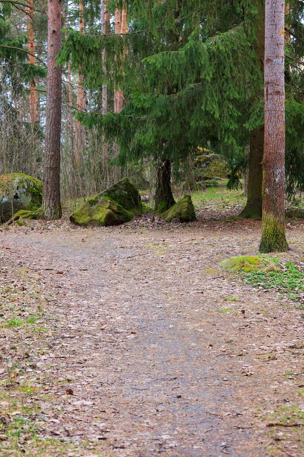 602 Short Pathway Stock Photos - Free & Royalty-Free Stock Photos from ...