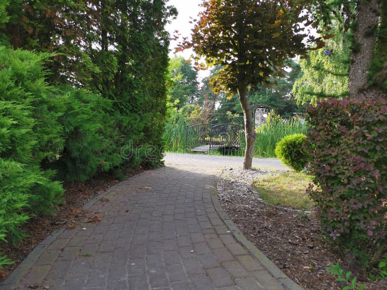 Empty pathway in the park stock image. Image of rural - 259668381