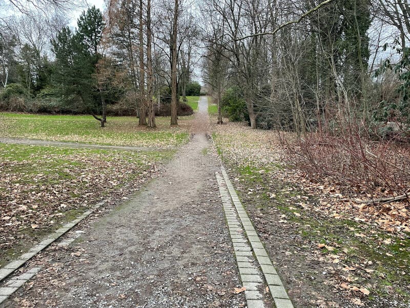 Empty Pathway in a Park, Surrounded by Tall Trees Stock Photo - Image ...