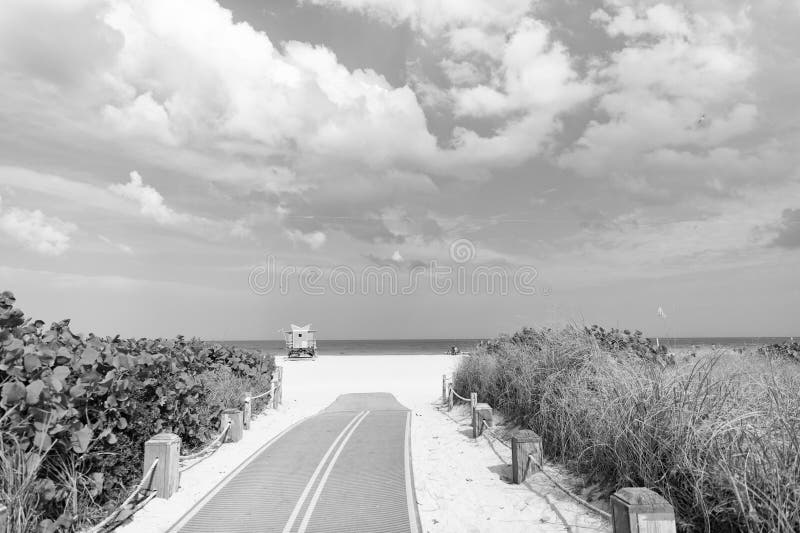 Empty Pathway Road Leading To Summer Beach Stock Photo - Image of ...