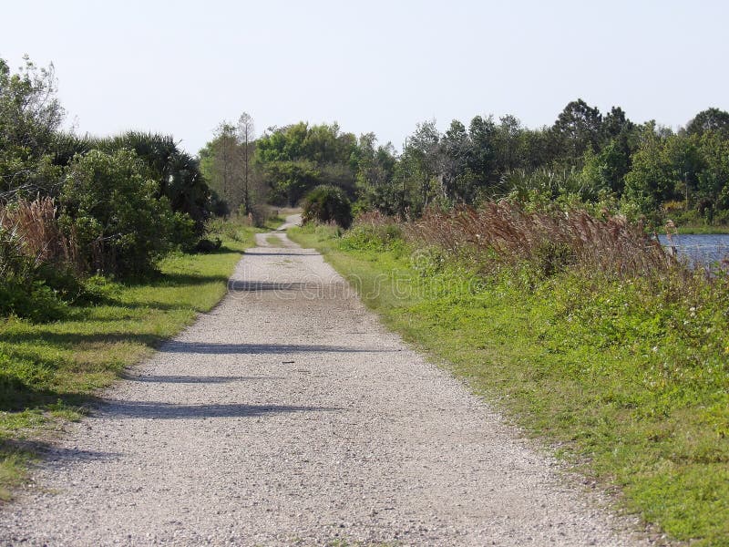 The Empty Pathway Road To the Woods Stock Image - Image of waterway ...