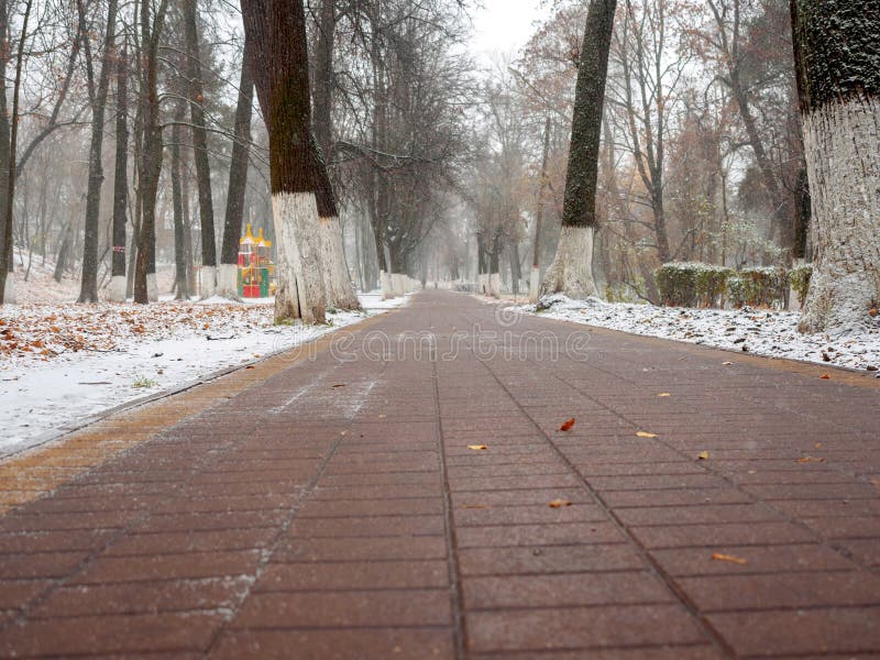 Empty Paved Path Park Fall Snowfall Stock Photos - Free & Royalty-Free ...