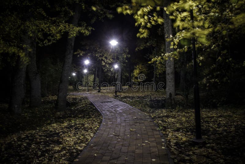 Empty Paved Sidewalk through Dark Park Stock Photo - Image of green ...