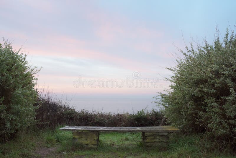 Peaceful bench in garden stock image. Image of tree, rest - 26594335