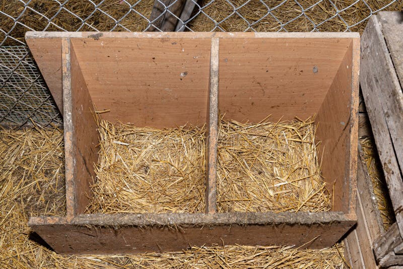 Empty Pen with Hay Inside for Hatching Chicken Eggs, Standing in the ...