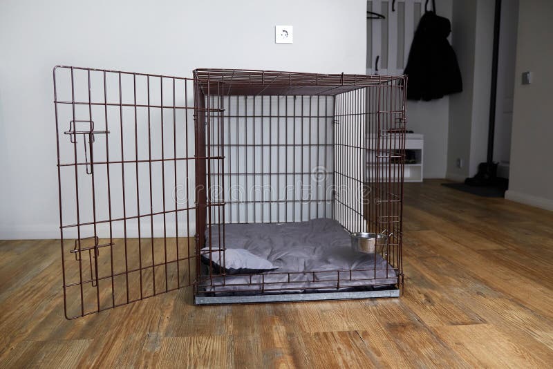 An Empty Cage for Pets in an Apartment. Stock Image - Image of doggy ...