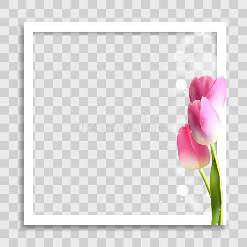 Empty Photo Frame Template with Spring Flowers for Media Post in Social ...