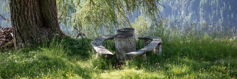Empty Picnic Area in the Mountains Under the Tree. Panorama Stock Photo ...