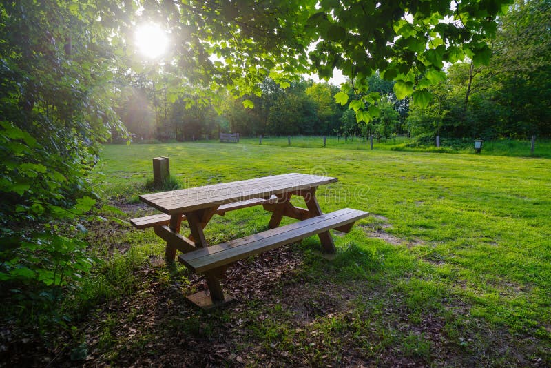 Empty picnic place stock image. Image of leaves, beautiful - 295948049