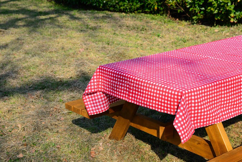 Empty Picnic Table with Red and White Checkered Tablecloth in Park on ...