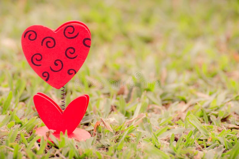 Frame Grass Heart Shaped of Dry Leaves on the Ground Stock Image ...