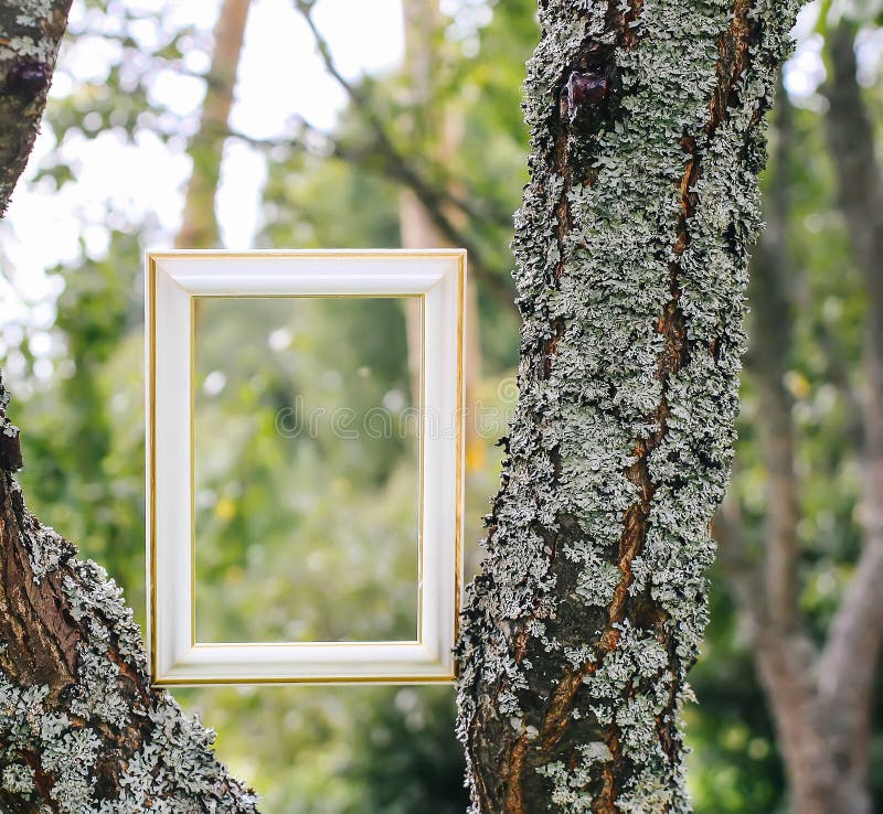 Empty picture or frame. stock image. Image of border - 107632597