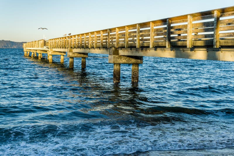Empty Pier at Dash Point 9 stock photo. Image of state - 262098566