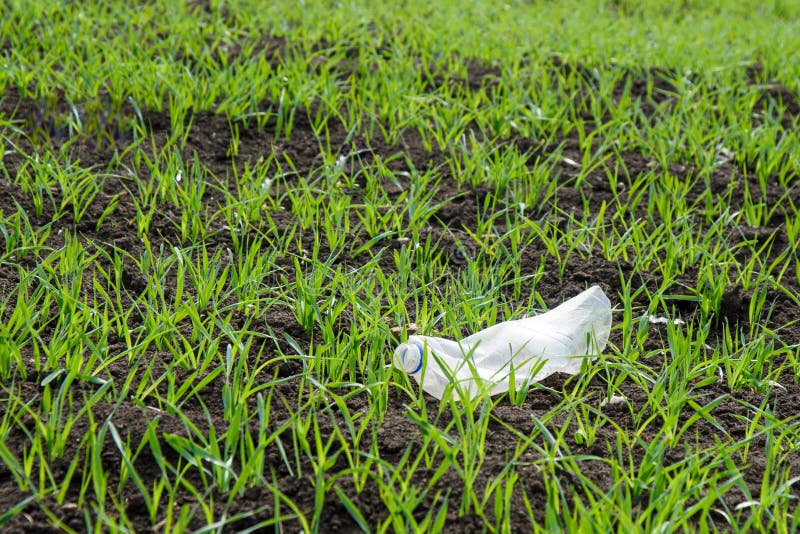 Empty Plastic Bottle on the Field. Pollution of Nature with Plastic ...