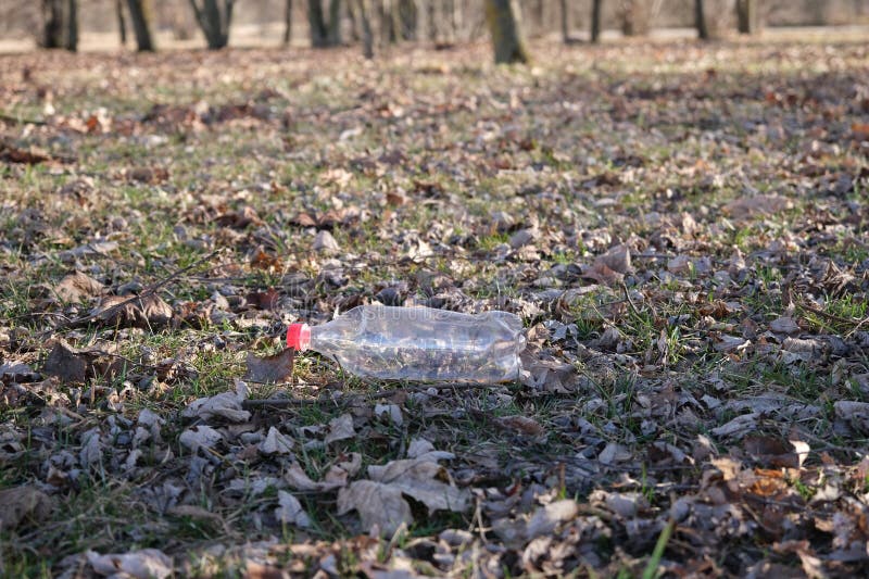 An Empty Plastic Bottle on the Ground in a City Park. Environmental ...