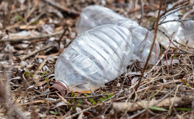 Empty Plastic Bottles Lie on the Ground in the Forest. Stock Image ...