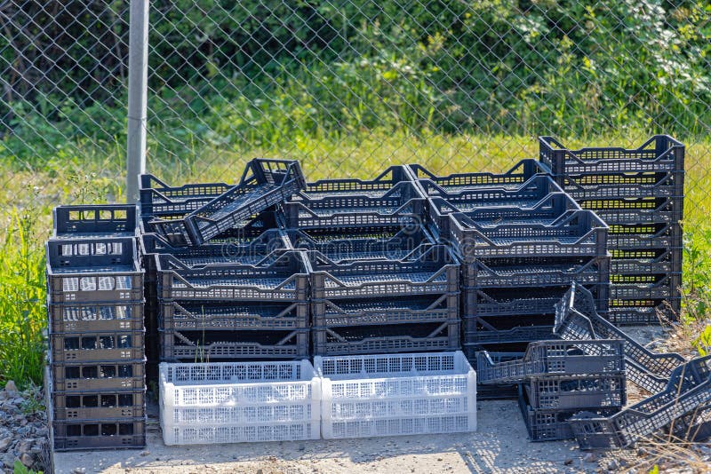 Empty Plastic Crates Farm stock photo. Image of 2024 - 325203922