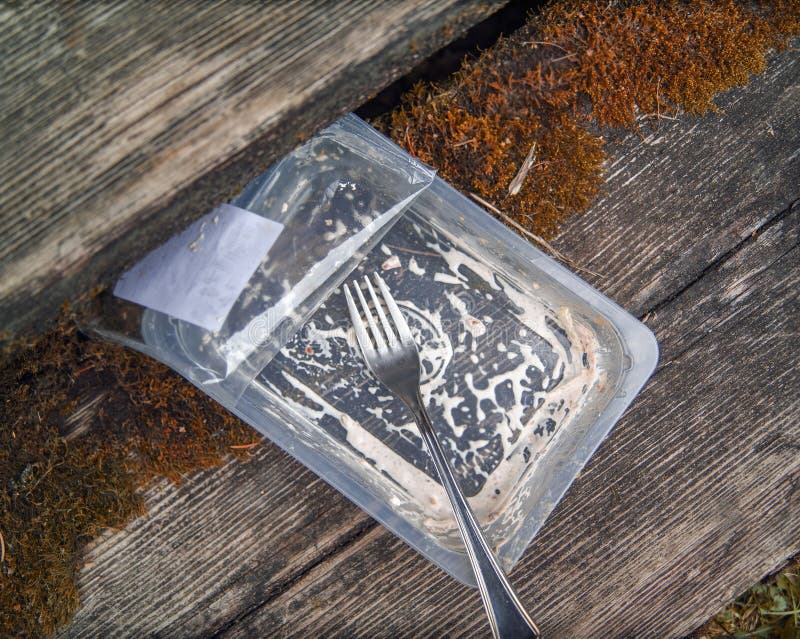 Empty plastic lunch box stock image. Image of food, meal - 277120035