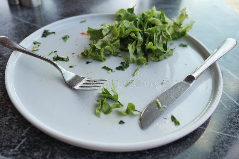 Empty Plate after Eating on Table Stock Photo - Image of lunch, dieting ...