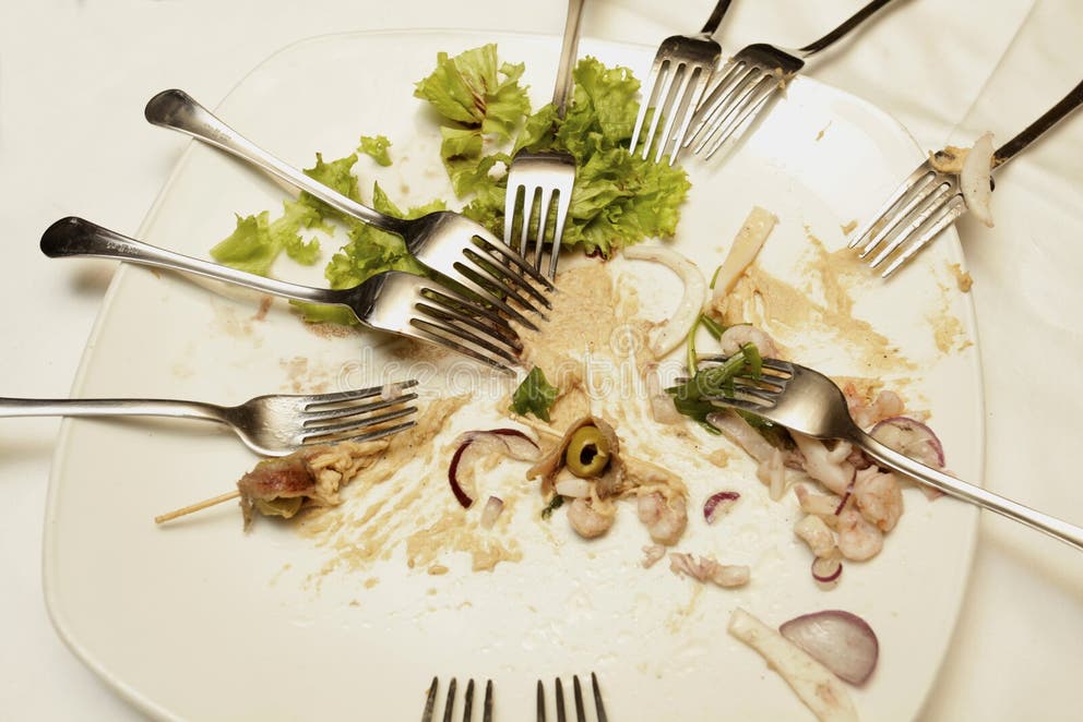 Empty Plate stock photo. Image of healthy, lunch, horizontal - 38543032