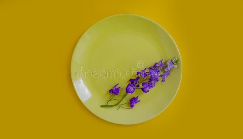 Empty Plate, Flower Serving Dinner Provence Restaurant Colored ...