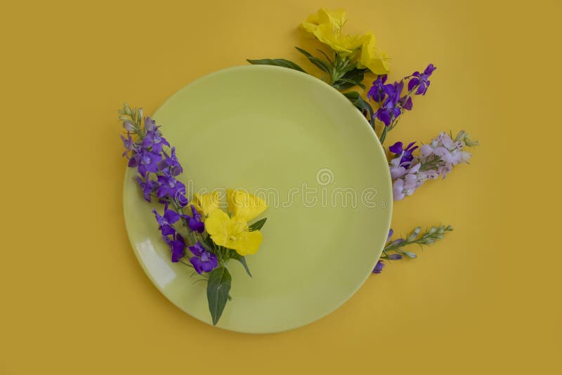 Empty Plate, Flower Serving Dinner Provence Restaurant Colored ...