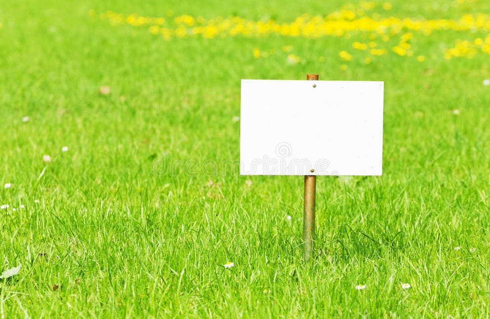 An empty plate for text stock photo. Image of plate, haircut - 24158006