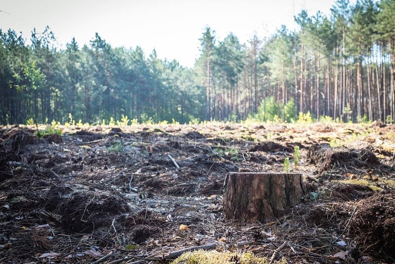 1,515 Empty Plot Stock Photos - Free & Royalty-Free Stock Photos from ...