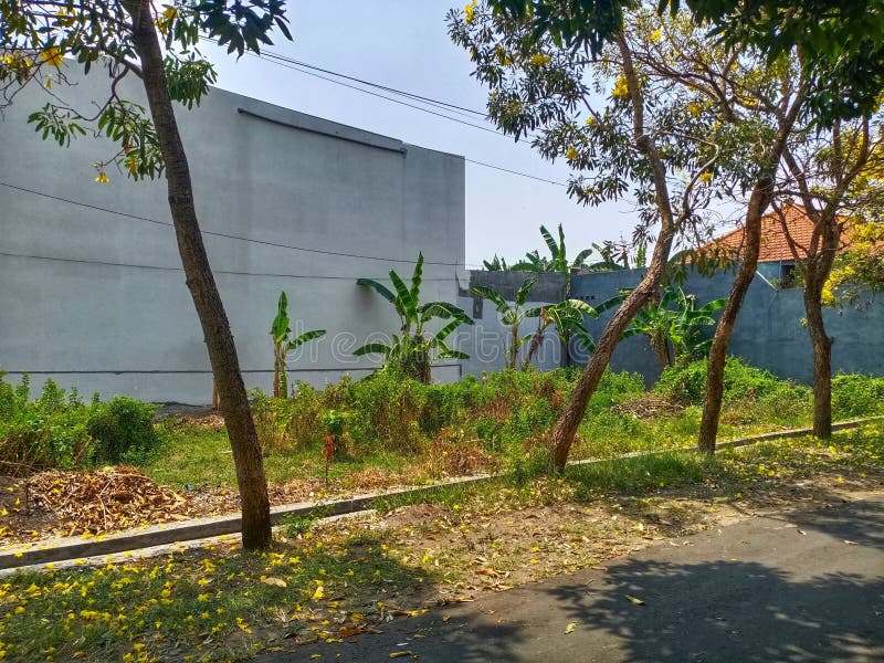 An Empty Plot of Land Overgrown with Wild Plants Next To the Drainage ...