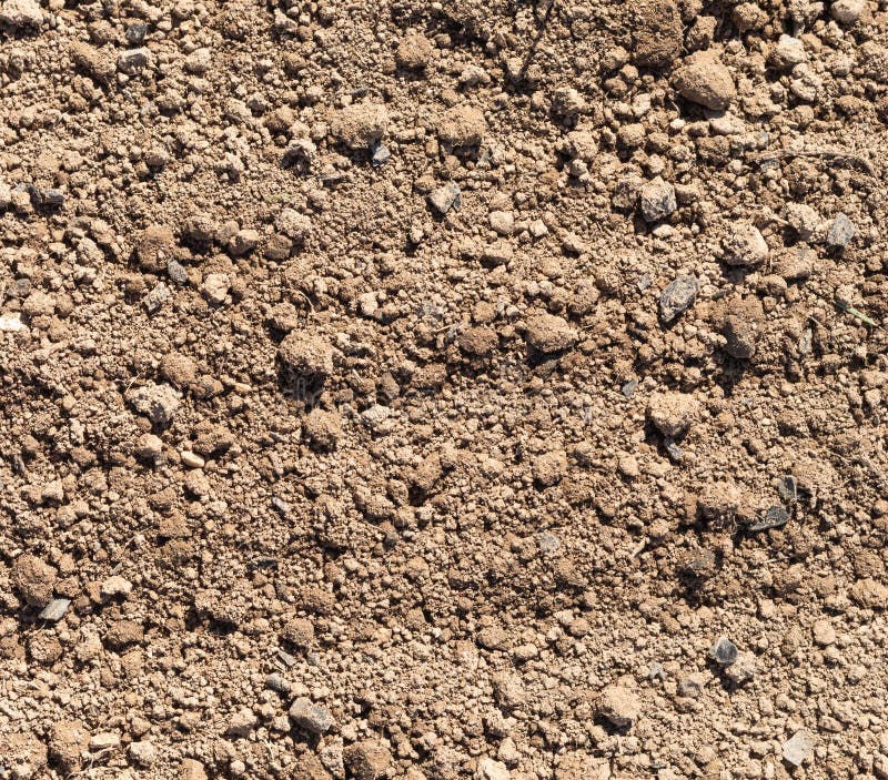 Empty Plowed Dry Soil Under Sunlight Stock Photo - Image of background ...