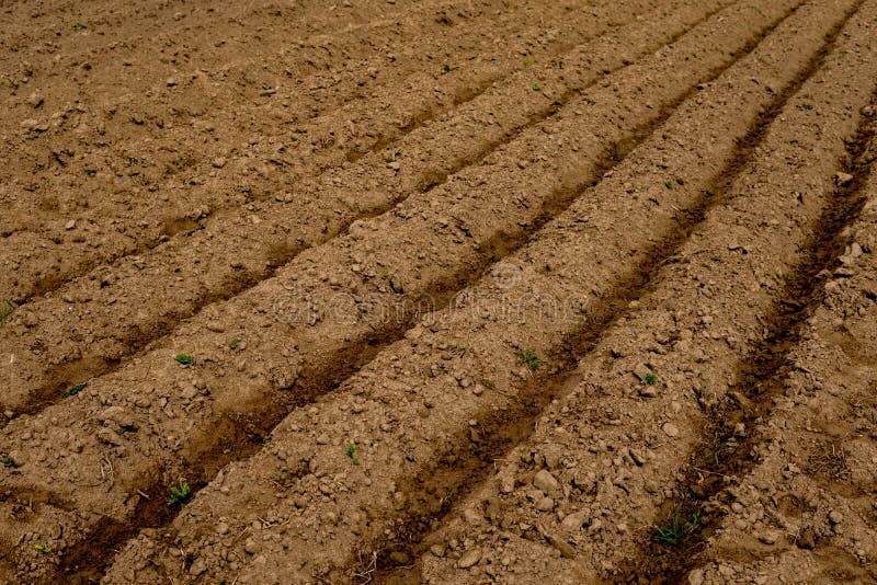 Plowed empty field stock image. Image of start, line - 94186747