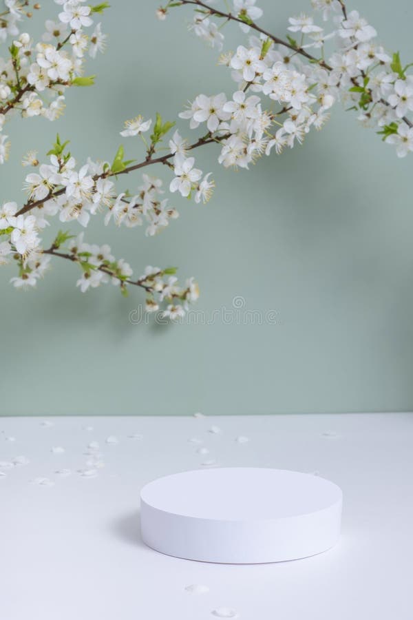 Empty Podium or Pedestal with Spring Bloom. Cosmetic Products Template ...