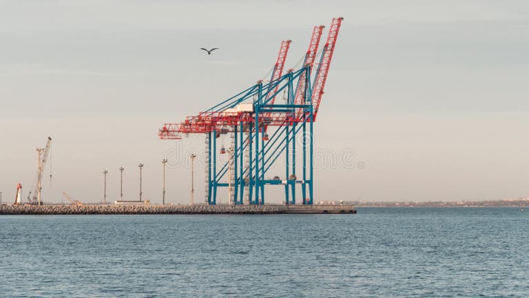 Empty Port Berth with Two Gantry Cranes. Stock Image - Image of import ...