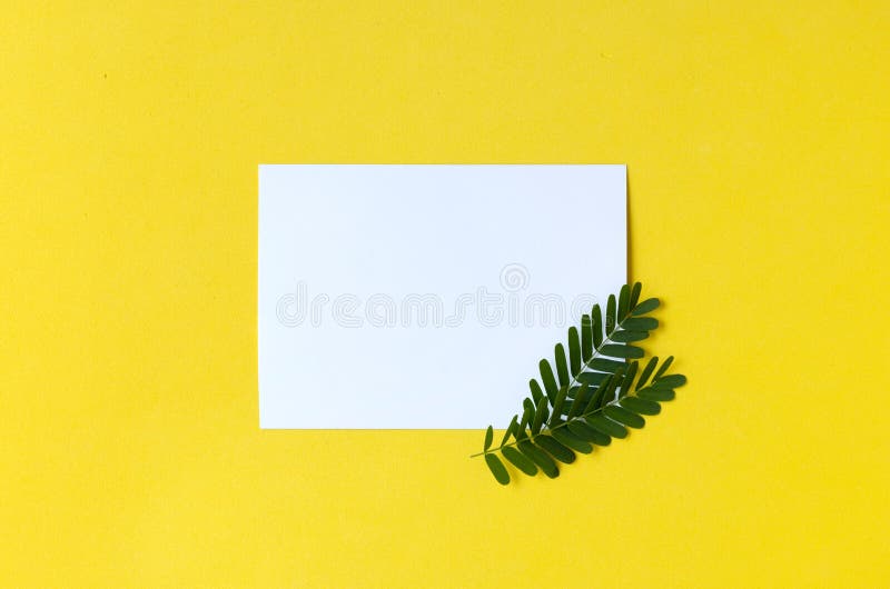 Empty Post Card with Green Branches on Yellow Background Stock Image ...