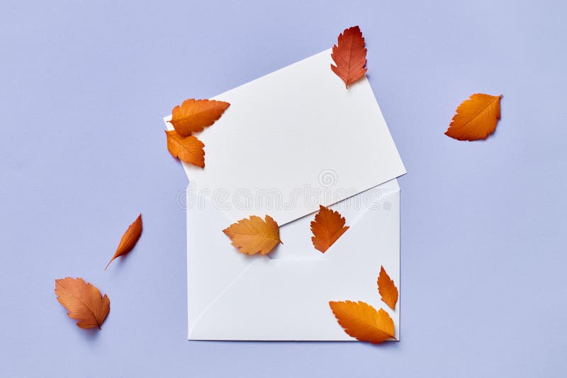An Empty Postcard in the Envelope Surrounded by Red Leaves on the ...