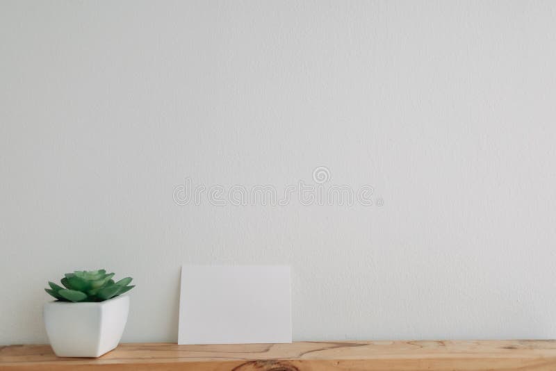 Empty Postcard Mockup with Cactus Pot on White Wall. Stock Photo ...