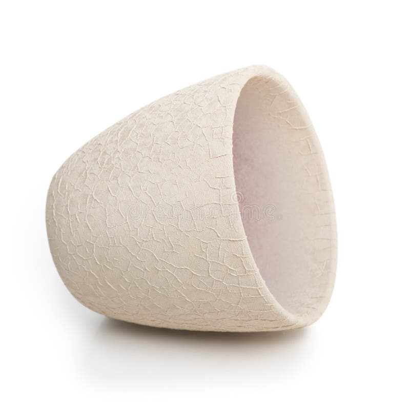 Empty pot stock photo. Image of beautiful, gardening - 71586072