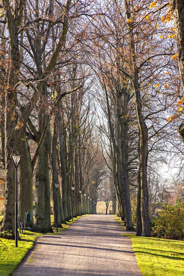 Empty public park stock image. Image of parkland, garden - 30832425