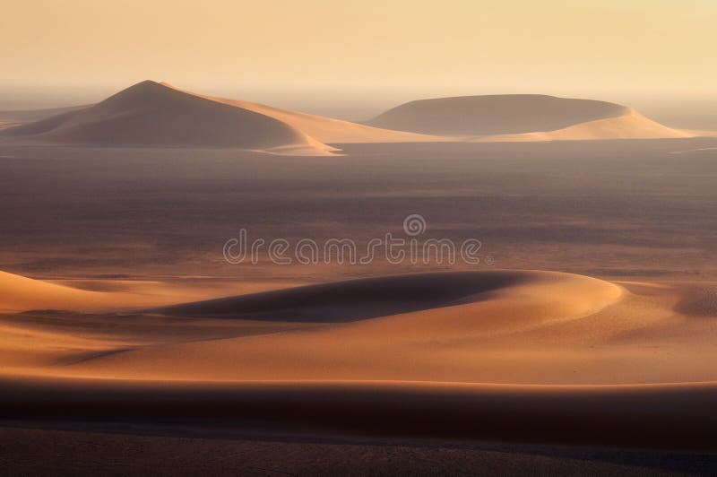 Empty Quarter Camels stock image. Image of arabia, solitude - 15966019