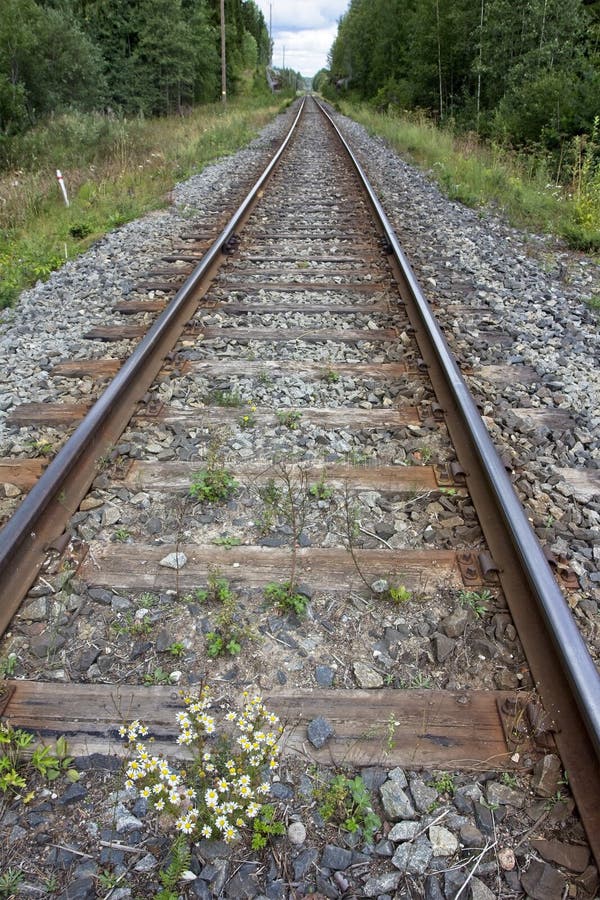 Empty railroad tracks stock photo. Image of europe, track - 206833592