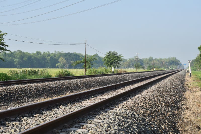 Empty Railway in the Middle of Rice Field Stock Photo - Image of ...