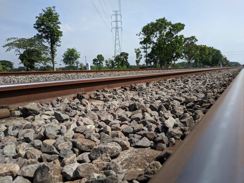 Empty Railway in the Middle of Rice Field Stock Photo - Image of ...