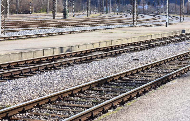 Railway racks in spring stock photo. Image of forest, train - 4968096