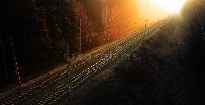Empty Railway Track in the Forest at Sunset or Dawn. Stock Photo ...