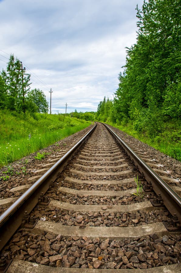 Empty Railway Track in Green Forest Stock Image - Image of transport ...